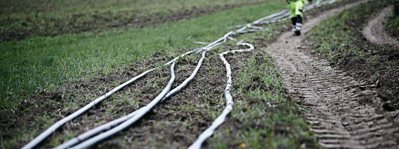 NKT vinder stor ordre om at understøtte udbygningen af det polsk elnet | NKT
